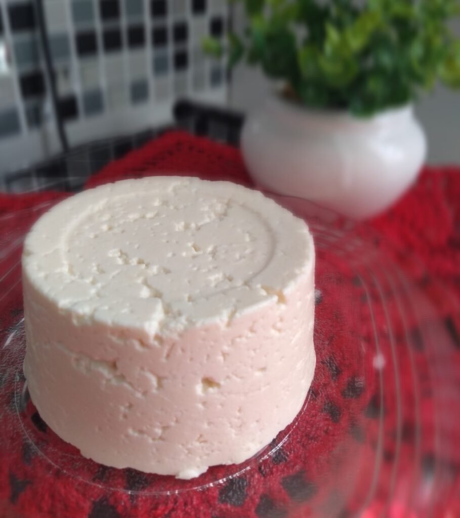 Queijo Caseiro com 3 Ingredientes - Receitas de Todos Brasil
